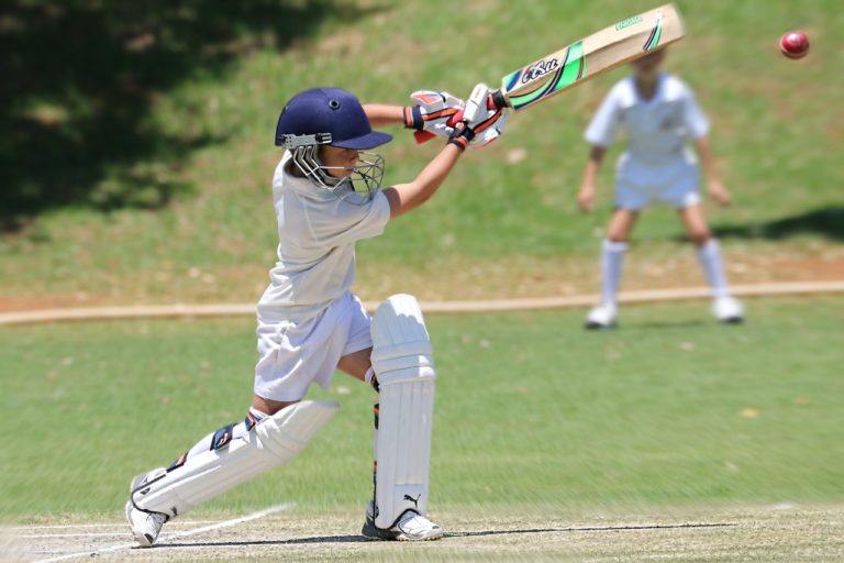 Grumpy Old Man – Cricket World Cup 2019 – Dave Thomas's Blog